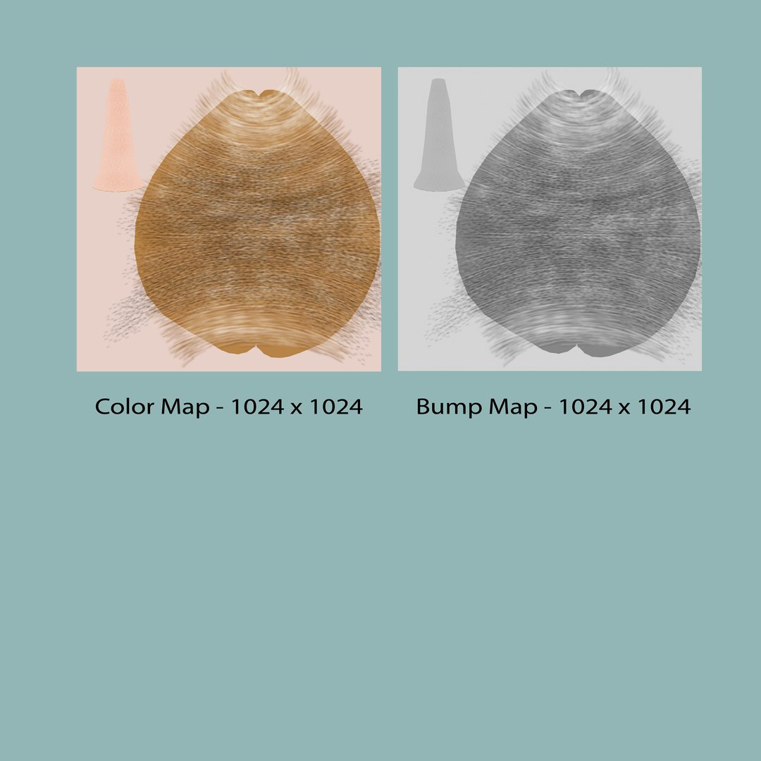 3d Semele Thyone Model