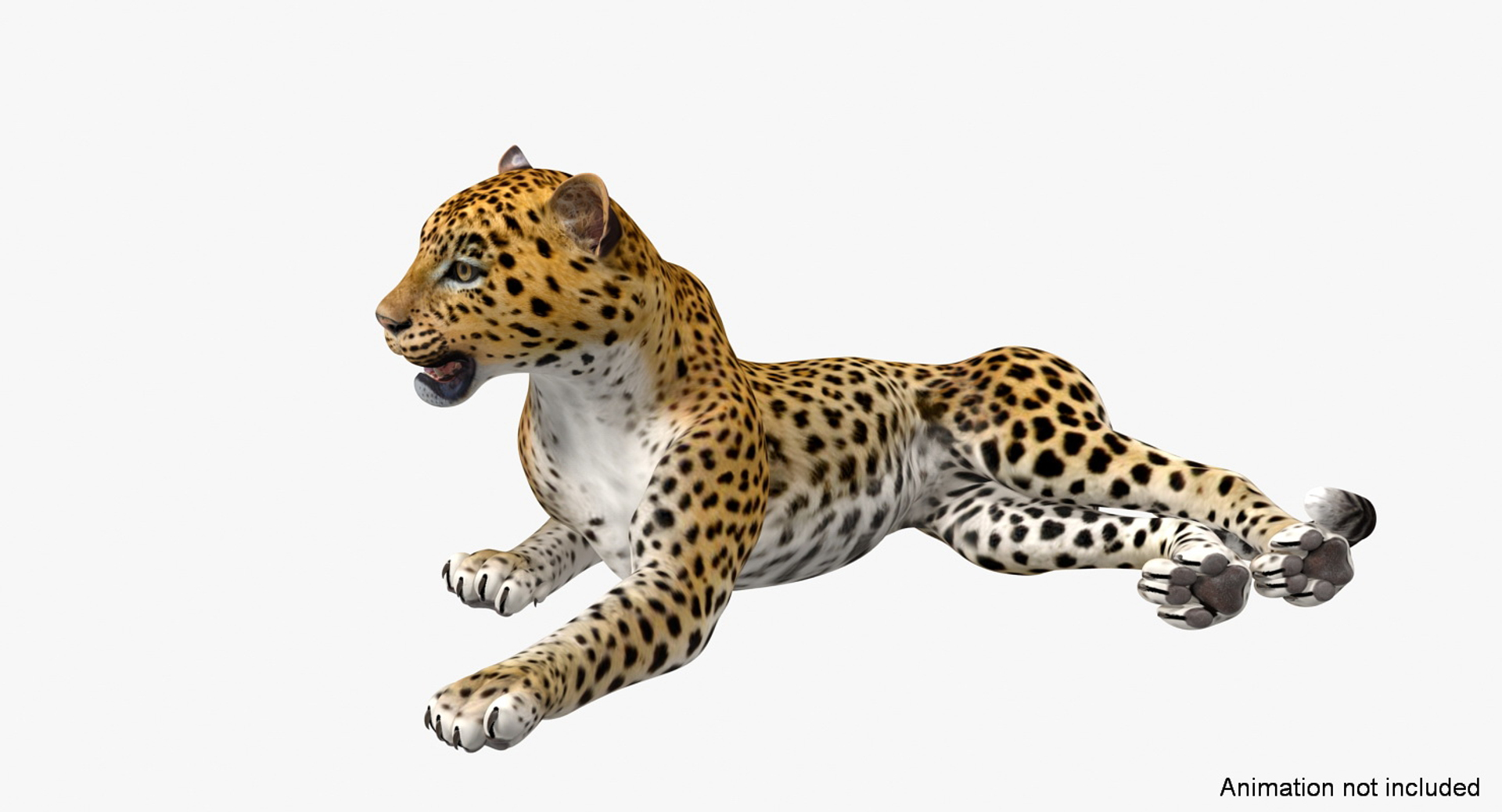 Leopard Rigged Animate 3D Model - TurboSquid 1323682