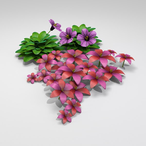 3D flower blooming animation model - TurboSquid 1618690