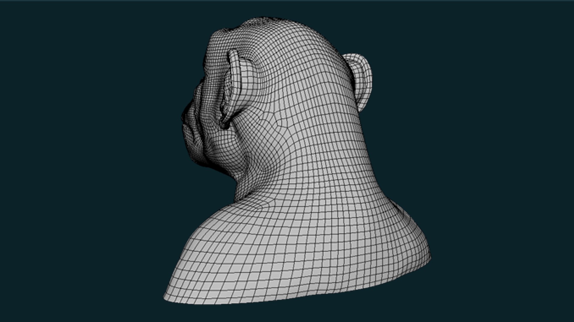 3D Model Monkey Bonobo High Poly Base Mesh - TurboSquid 2376799