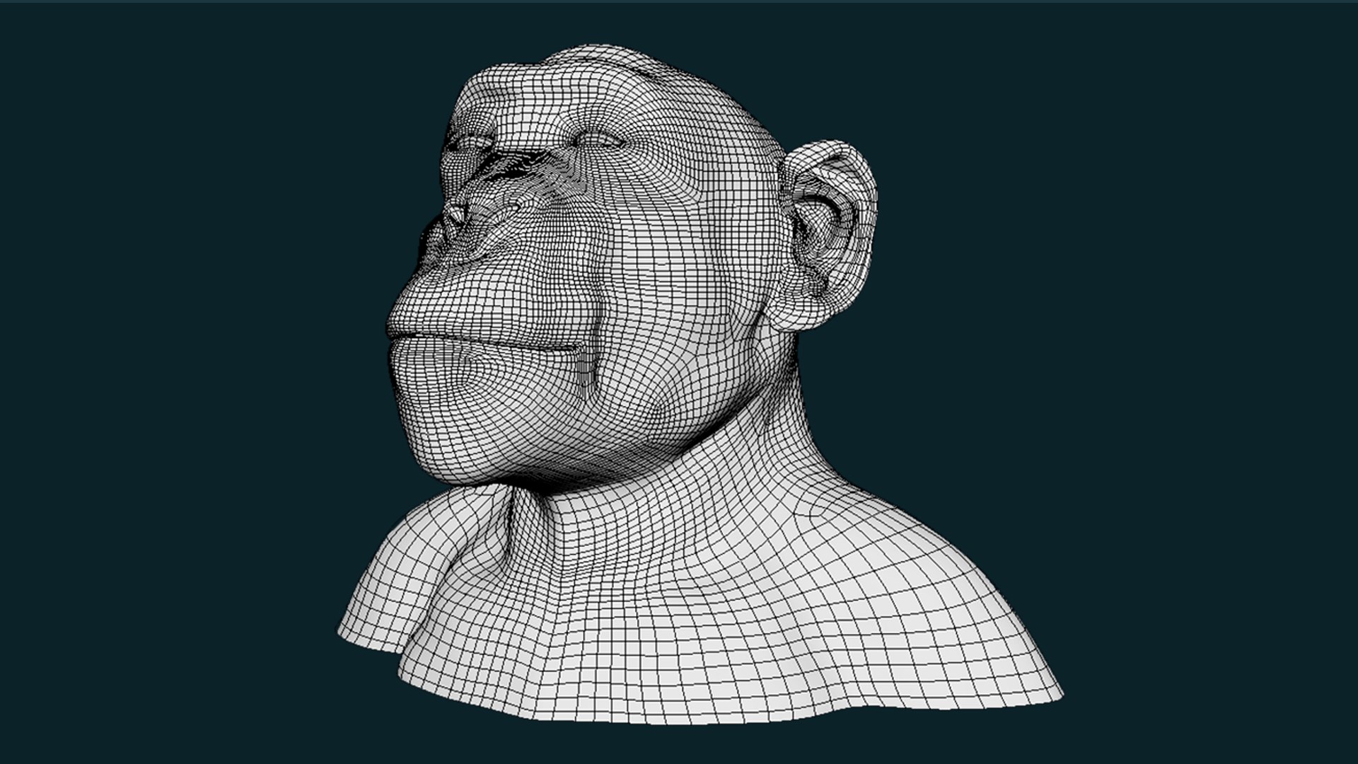 3D Model Monkey Bonobo High Poly Base Mesh - TurboSquid 2376799