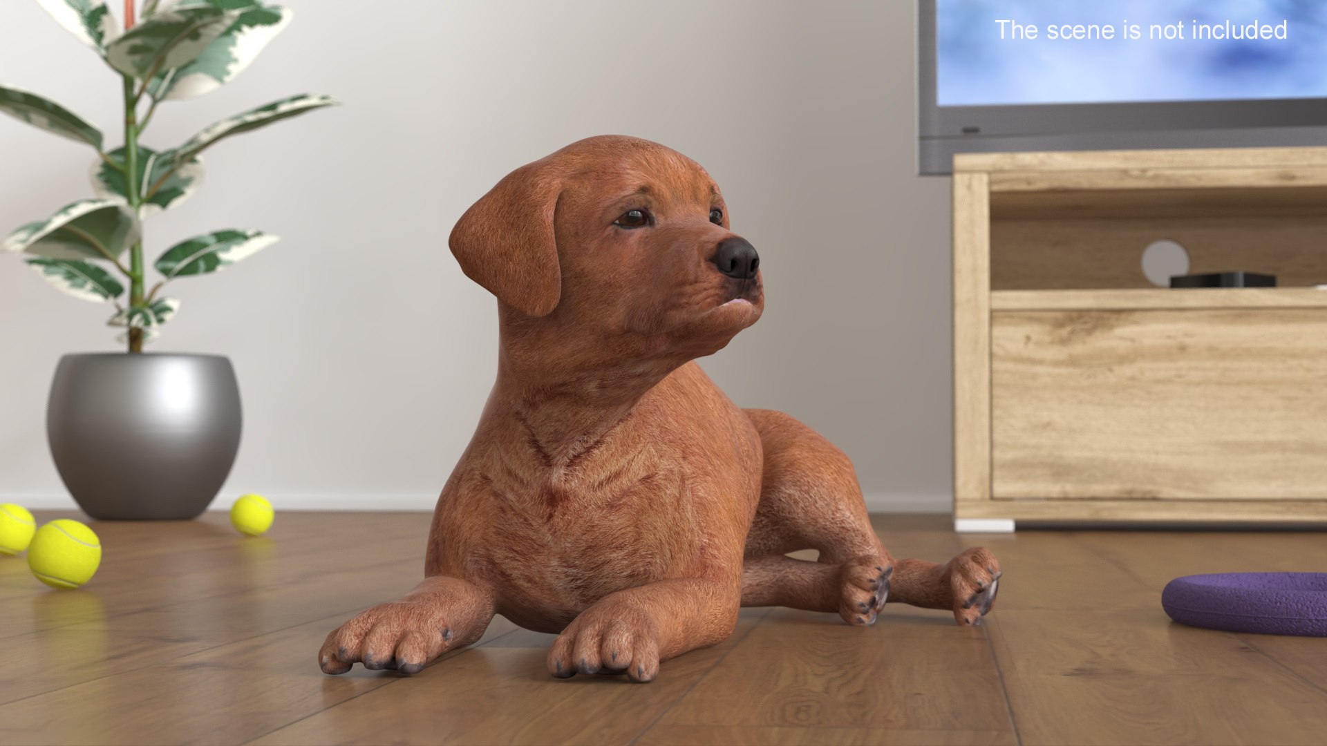 Brown Labrador Retriever Puppy Lying Down 3D Model - TurboSquid 2410452