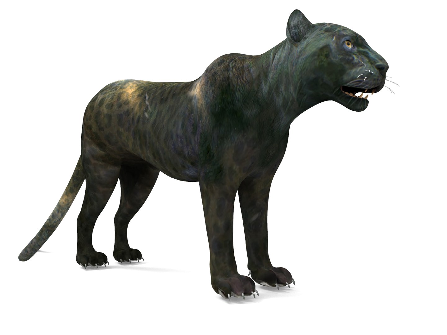 3D Realistic Panther Ready Model - TurboSquid 1284017