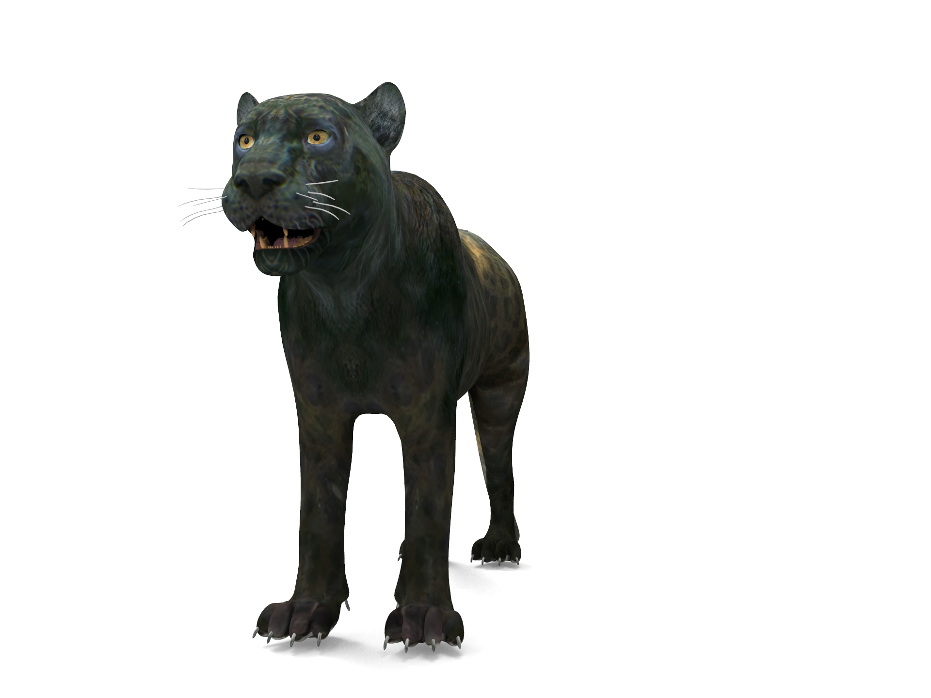 3D realistic panther ready model - TurboSquid 1284017