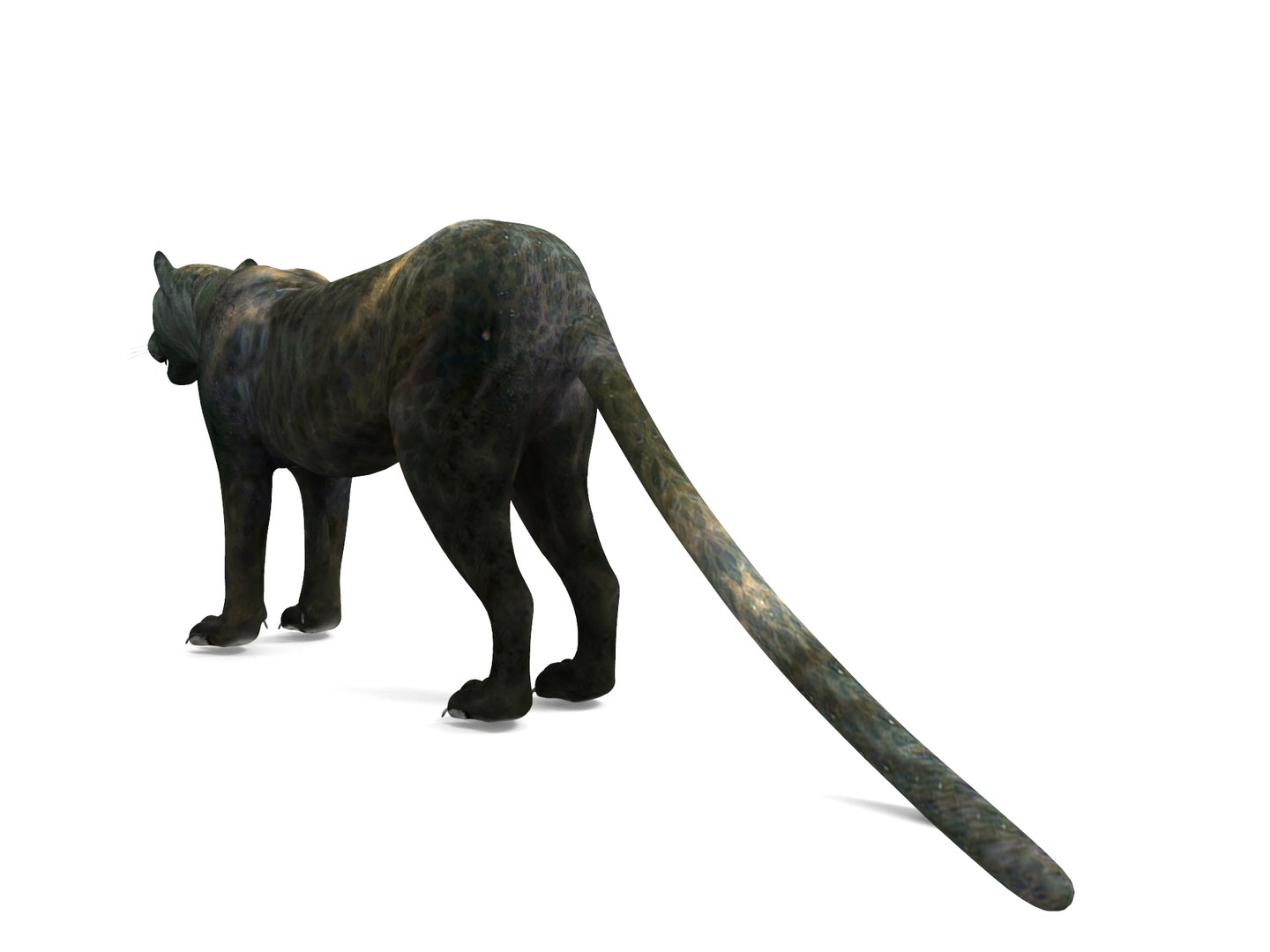 3D Realistic Panther Ready Model - TurboSquid 1284017