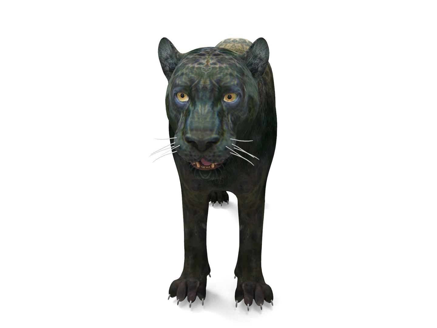 3D Realistic Panther Ready Model - TurboSquid 1284017