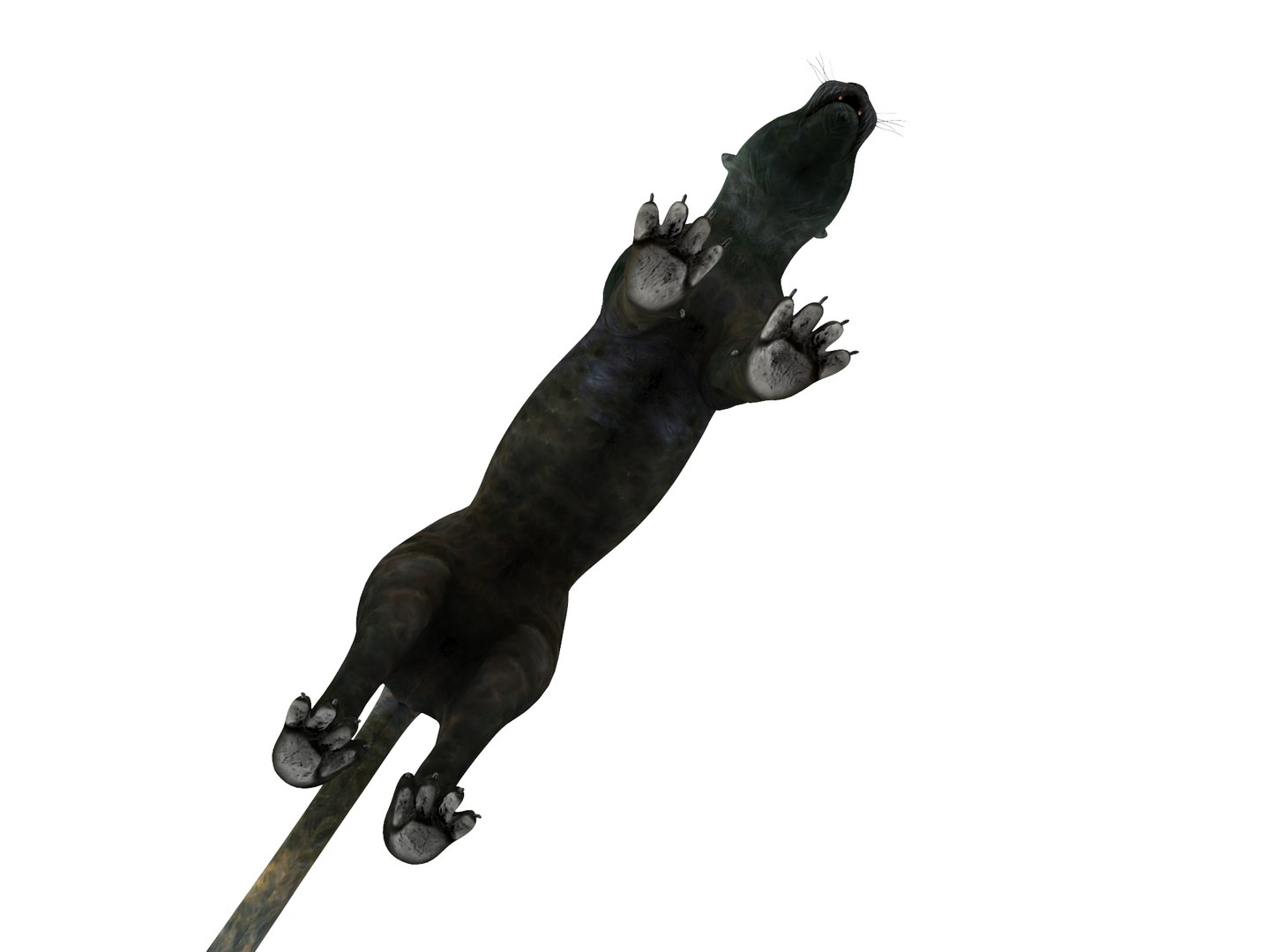 3D Realistic Panther Ready Model - TurboSquid 1284017