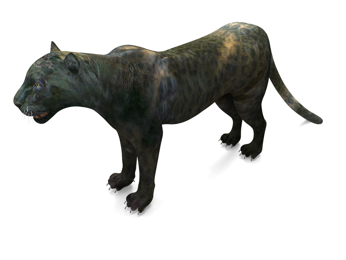 3D Realistic Panther Ready Model - TurboSquid 1284017