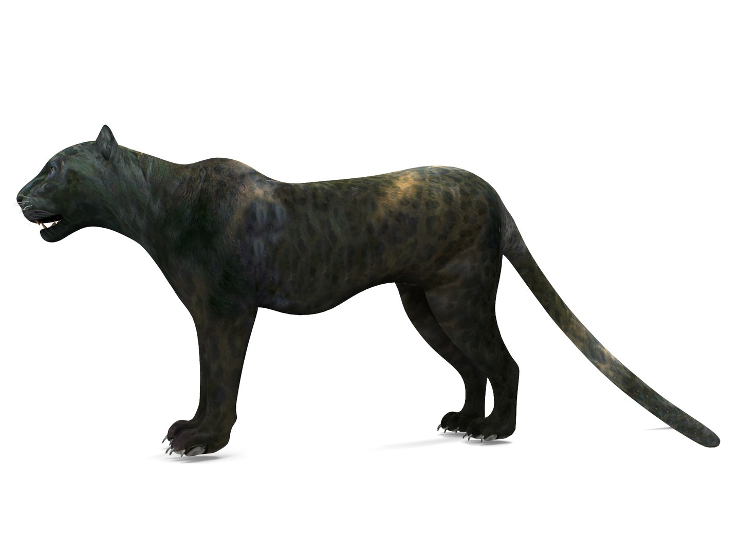 3D Realistic Panther Ready Model - TurboSquid 1284017
