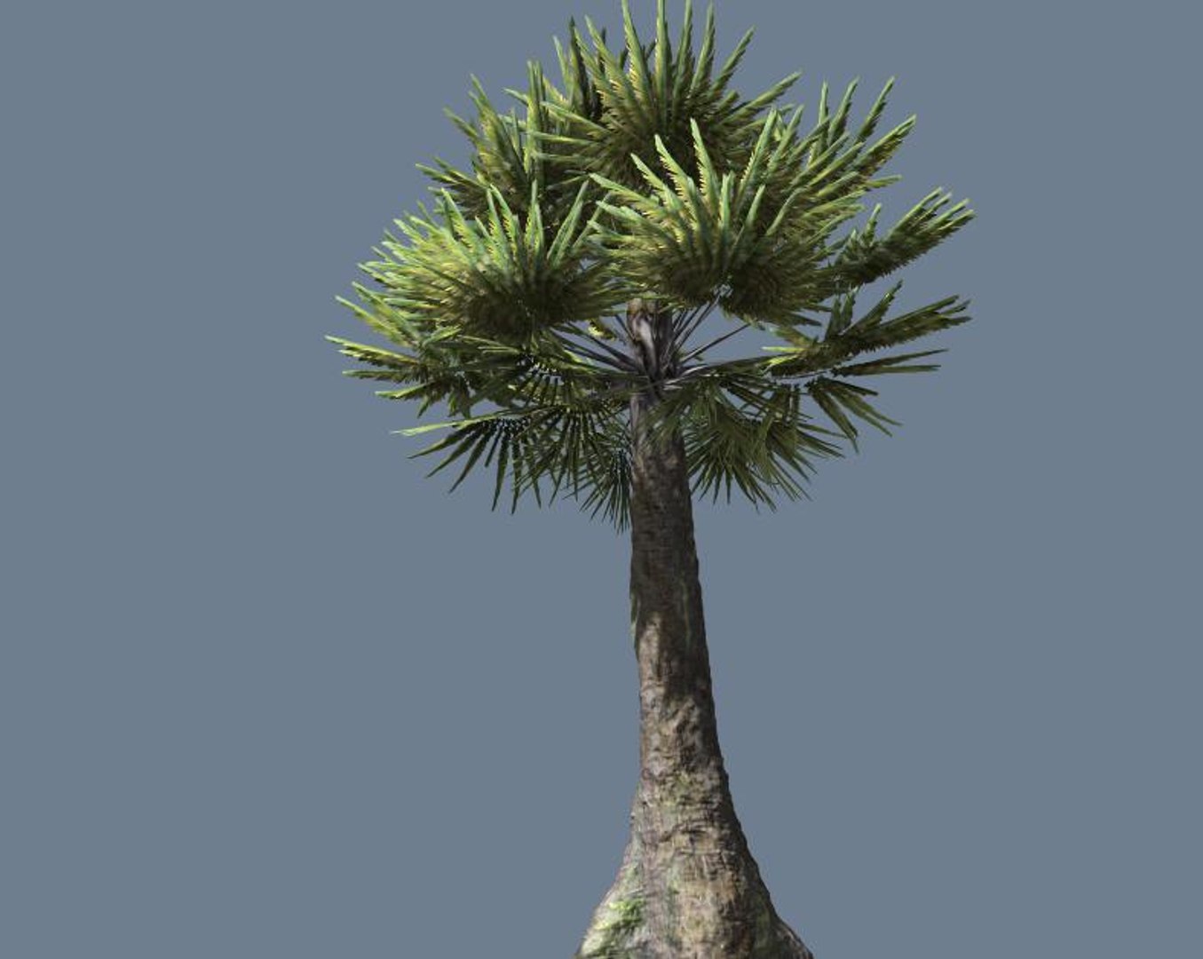 3d model palm tree pretty
