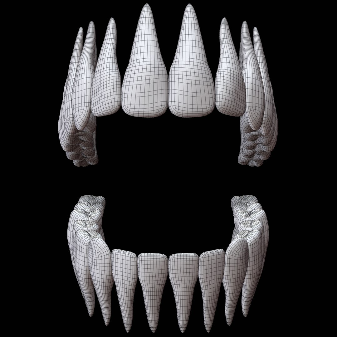 Teeth 3d Model