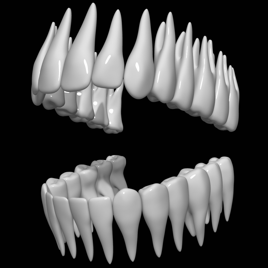 Teeth 3d Model