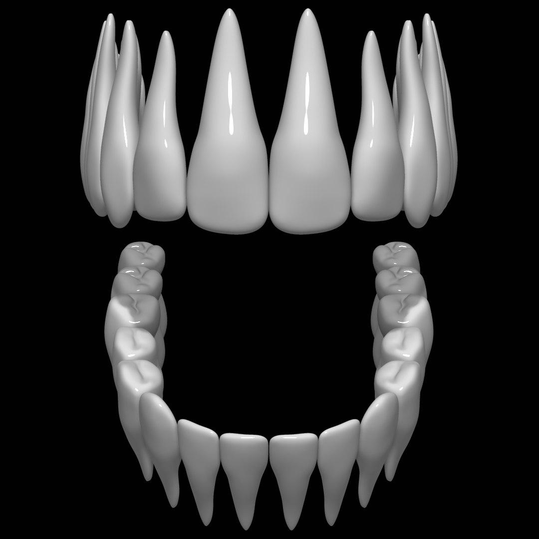 Teeth 3d Model