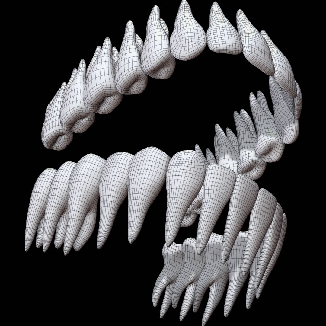 Teeth 3d Model