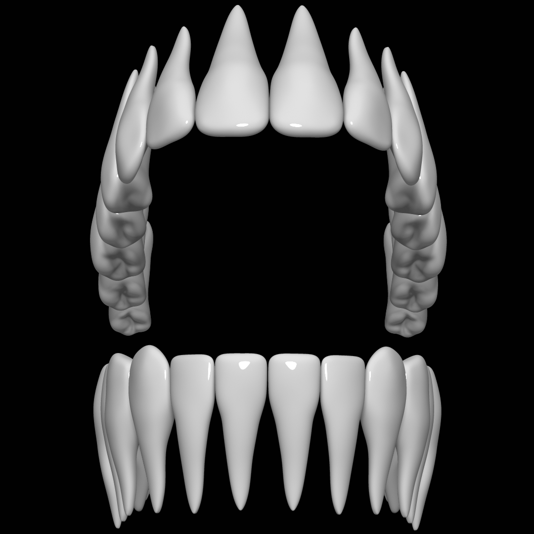 teeth 3d model