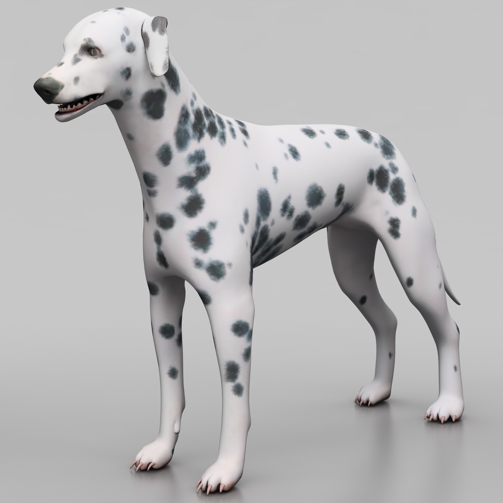 max dalmatian dog rigged