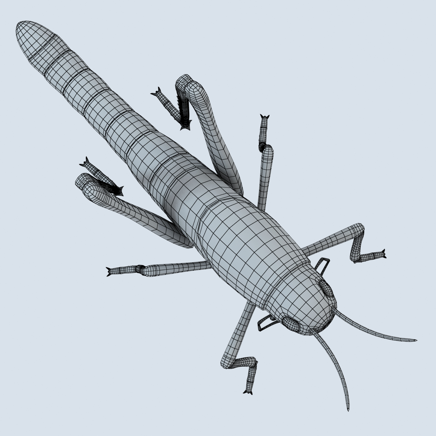 locust 3d model