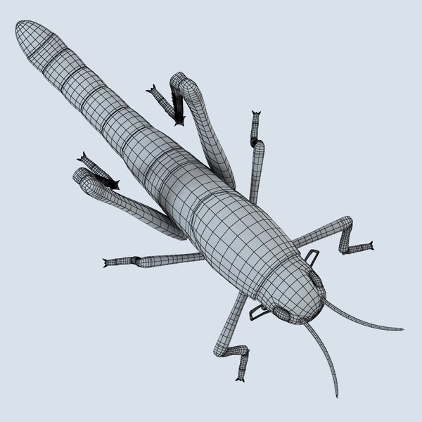 locust 3d model