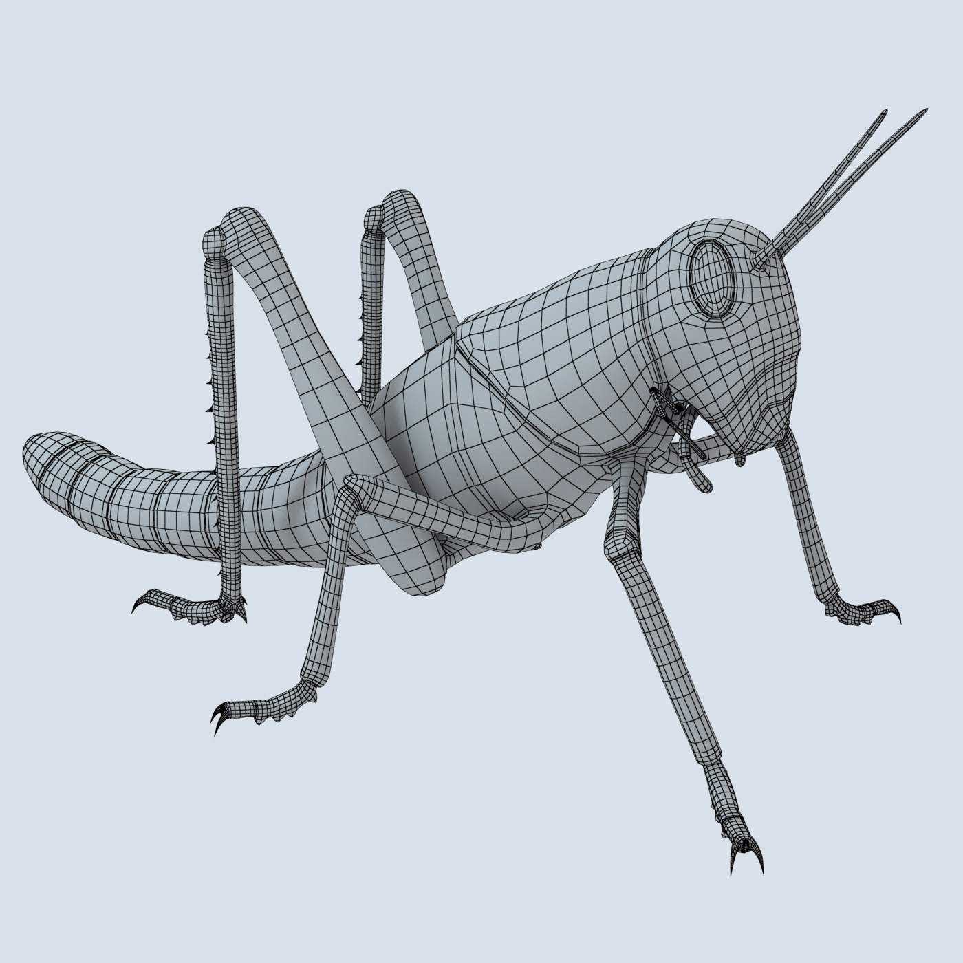 locust 3d model