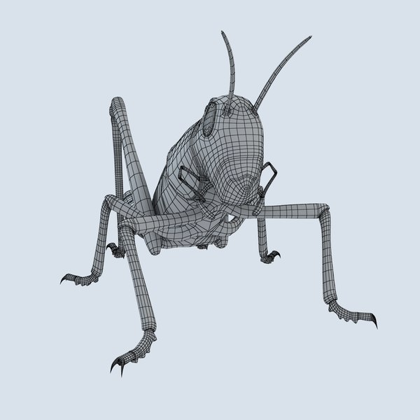 locust 3d model