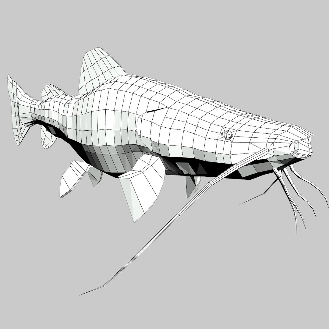 Catfish Red Tail 3d Max
