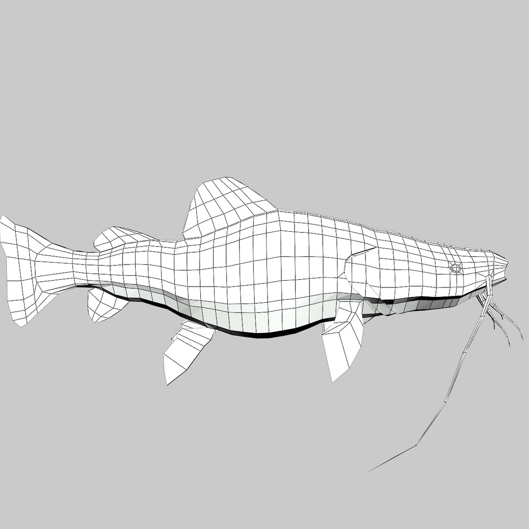 Catfish Red Tail 3d Max
