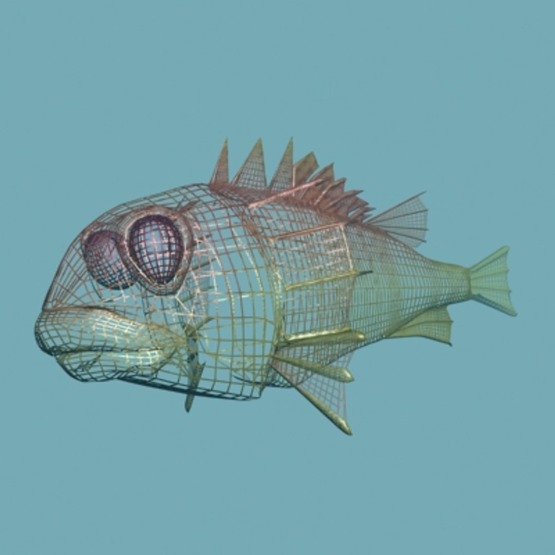 3d Model Lion Fish Rascasse