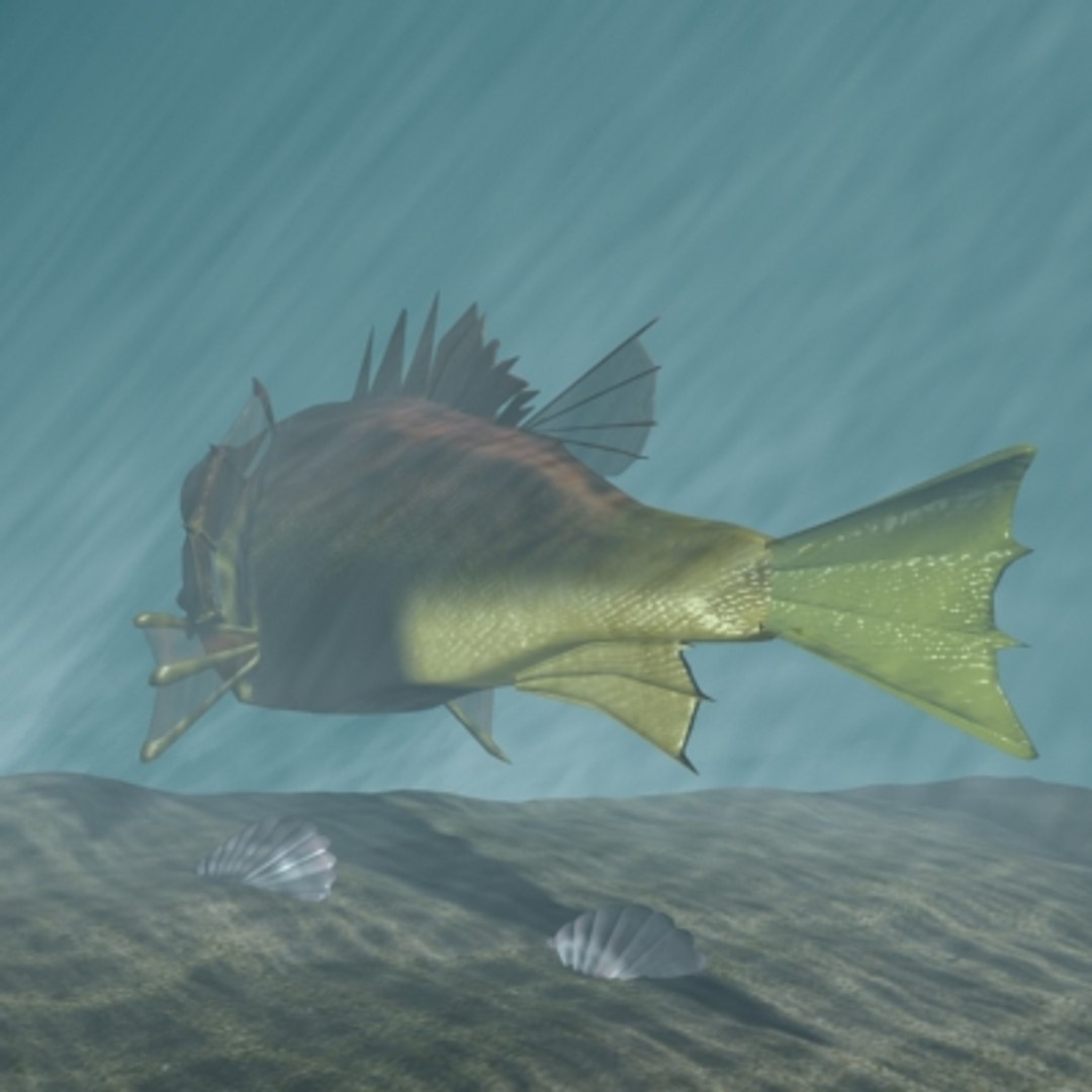 3d Model Lion Fish Rascasse