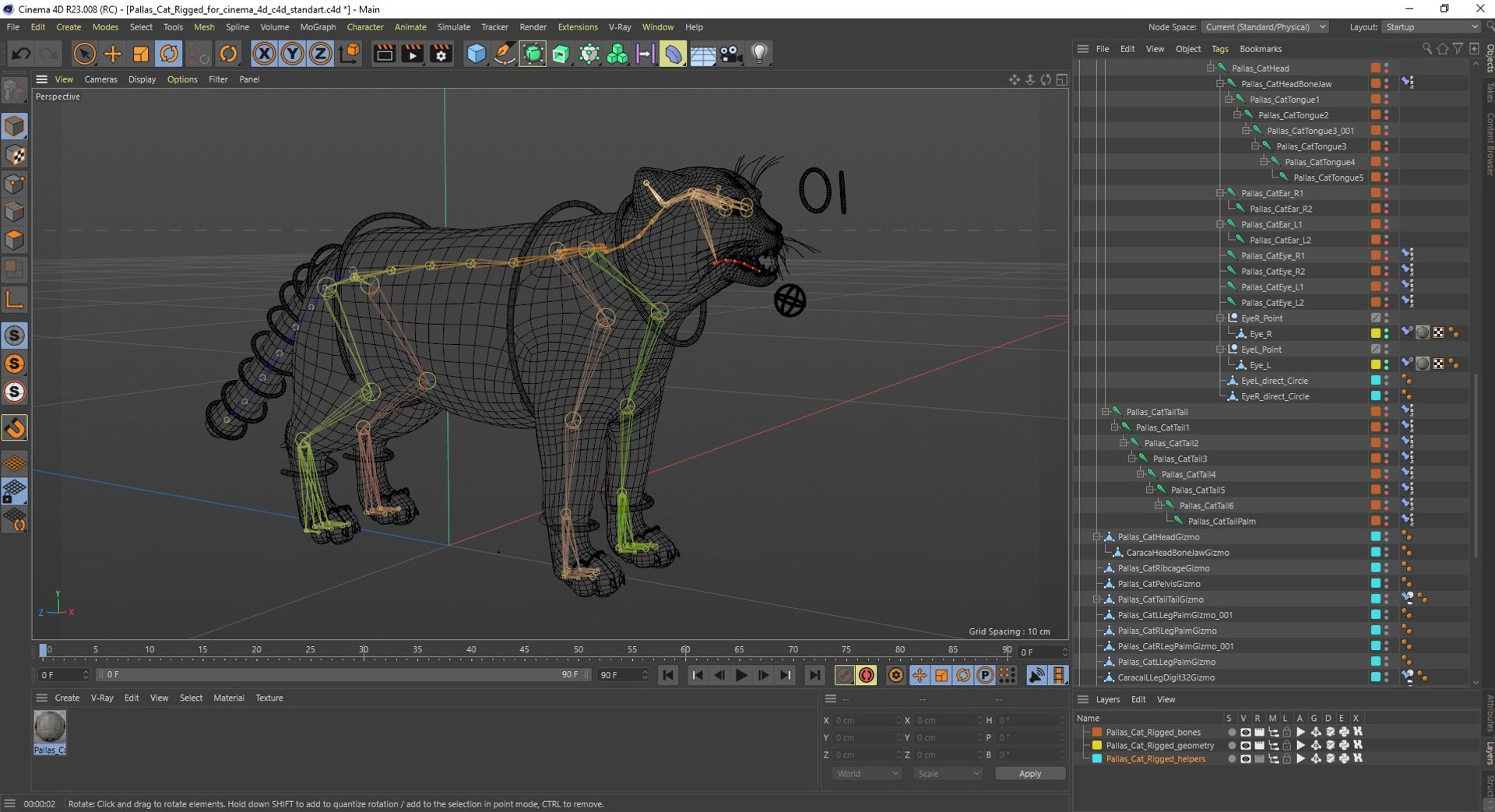 3D Pallas Cat Rigged For Cinema 4D Model - TurboSquid 2221966