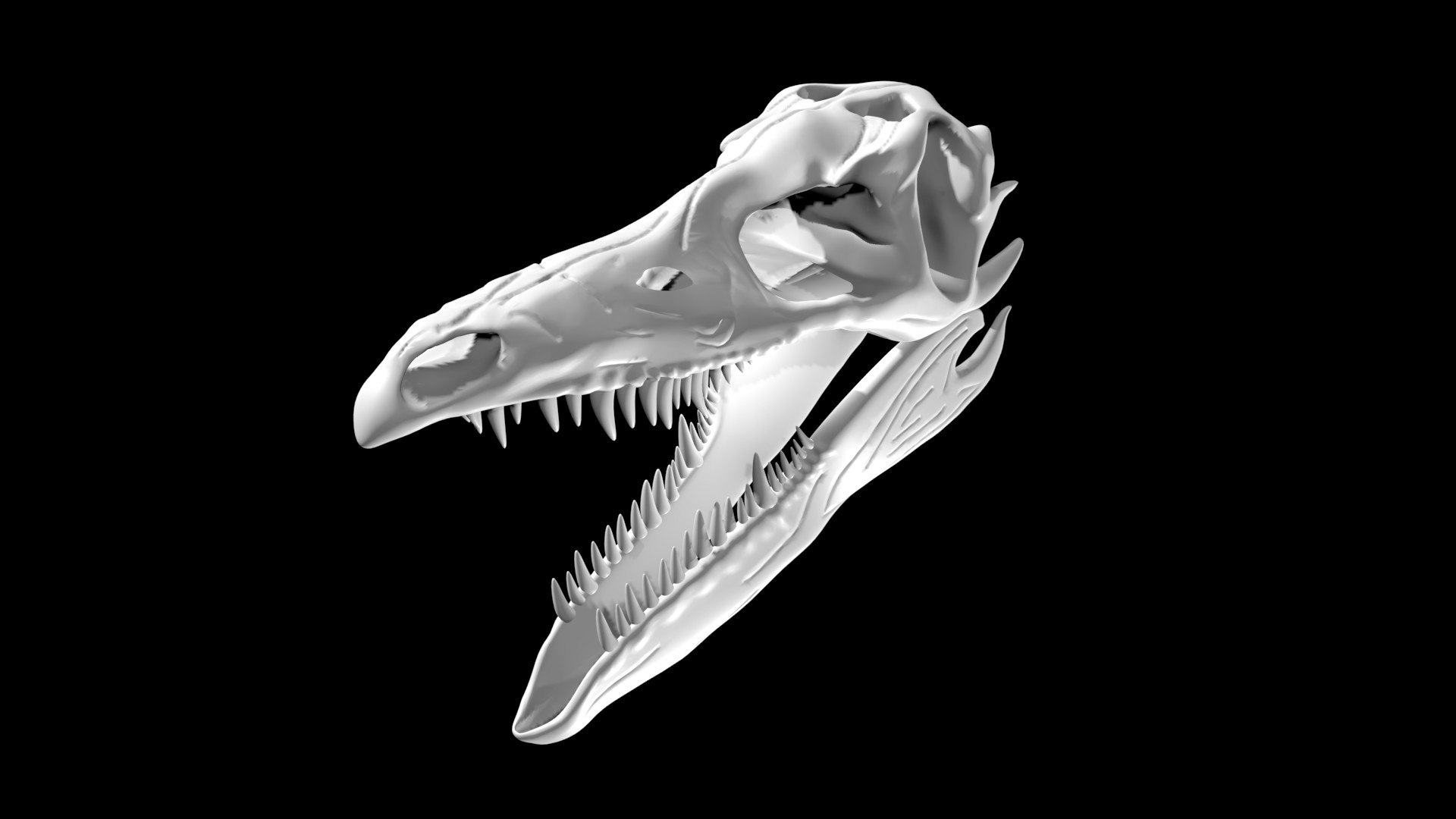 3D Stegosaurus Skull - TurboSquid 1885818