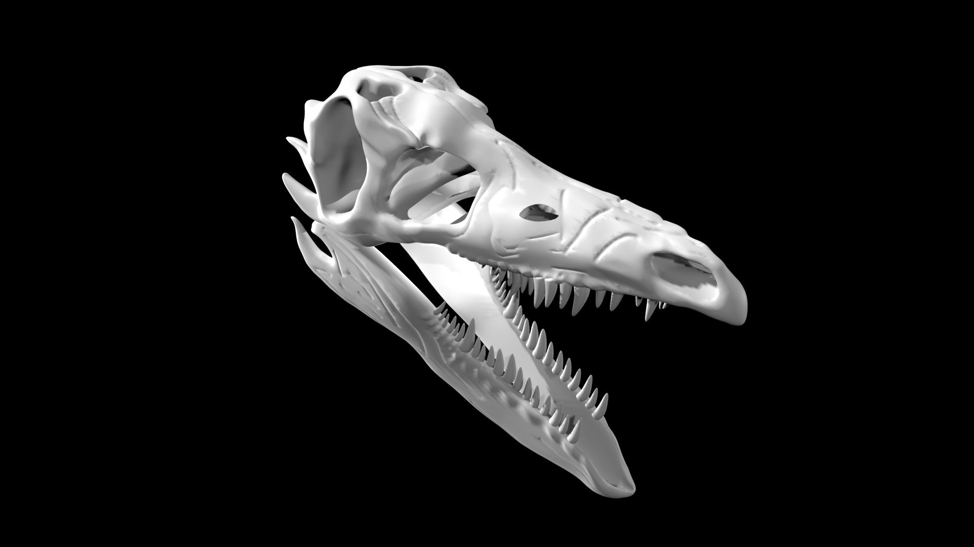 3D Stegosaurus Skull - TurboSquid 1885818