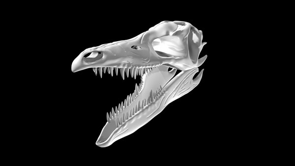 3D Stegosaurus skull - TurboSquid 1885818