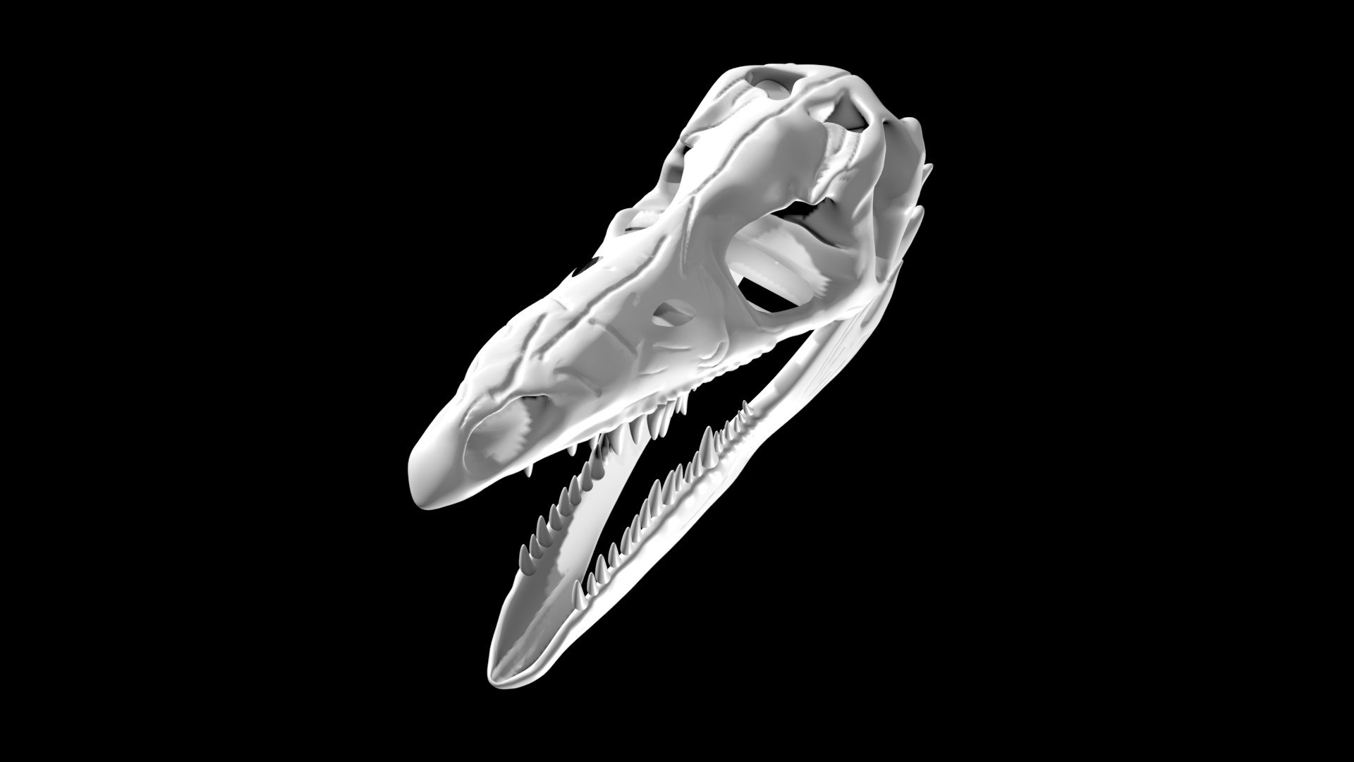 3D Stegosaurus Skull - TurboSquid 1885818