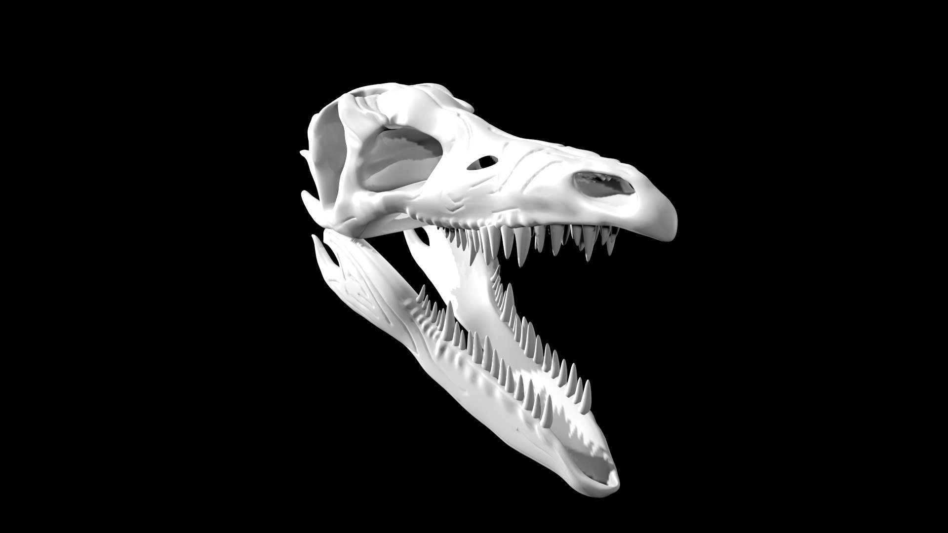3D Stegosaurus Skull - TurboSquid 1885818