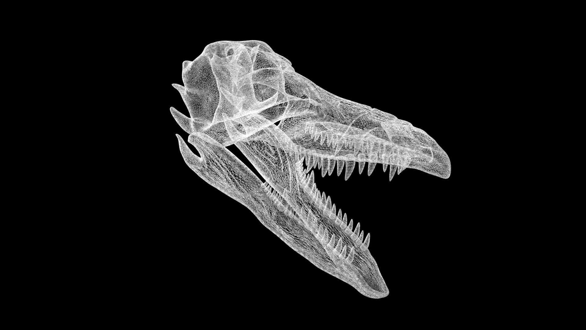 3D Stegosaurus Skull - TurboSquid 1885818
