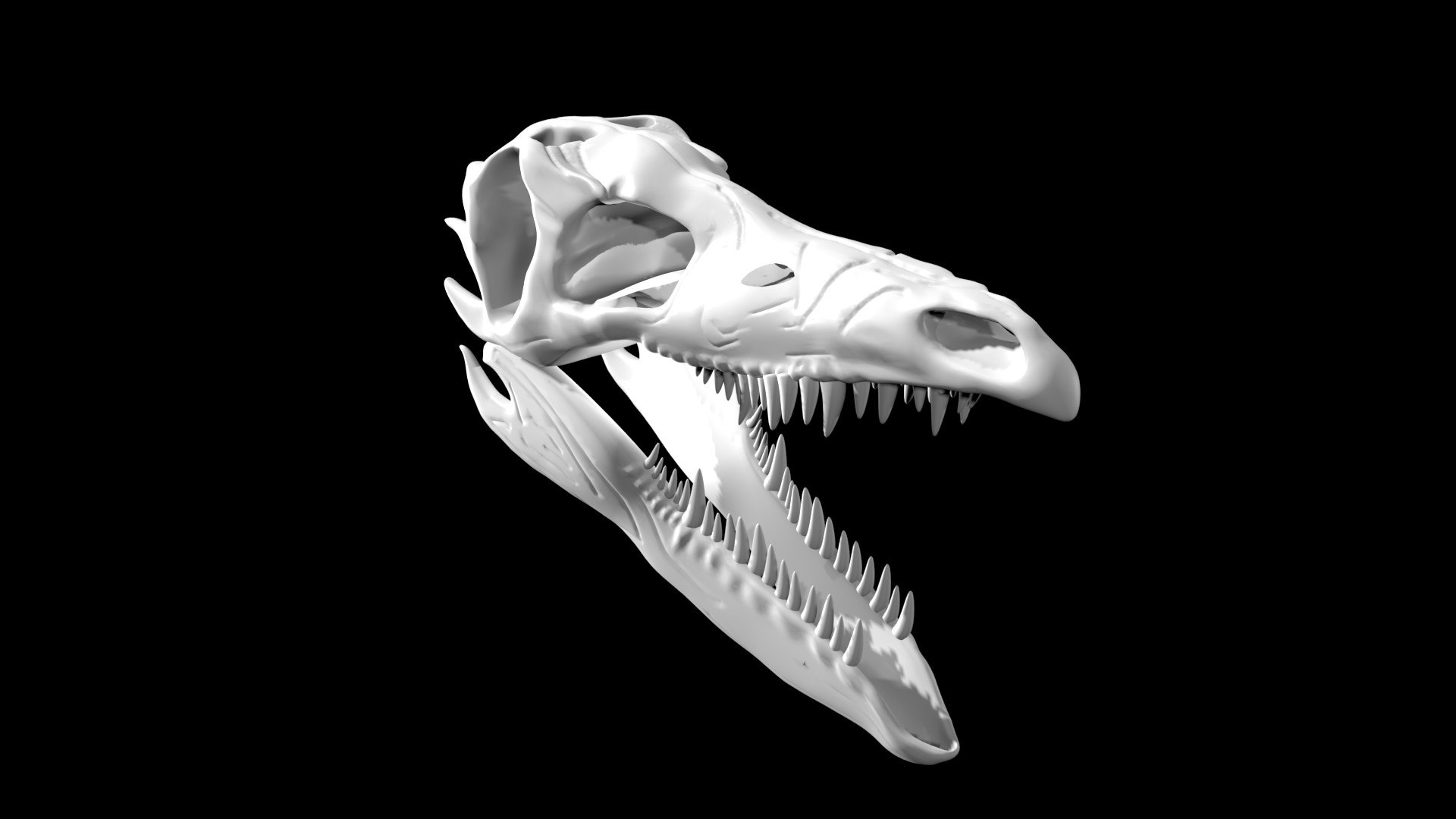 3D Stegosaurus Skull - TurboSquid 1885818