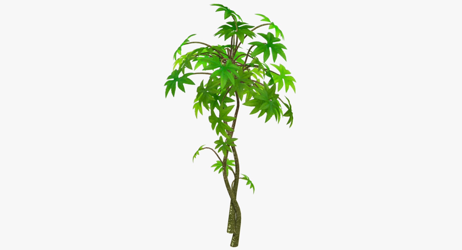 Small Tree 3D - TurboSquid 1171999