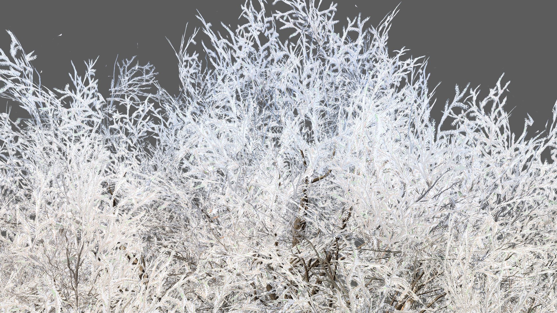3D Snow-covered Tree 3D Model With Free Tutorial Model - TurboSquid 2320069
