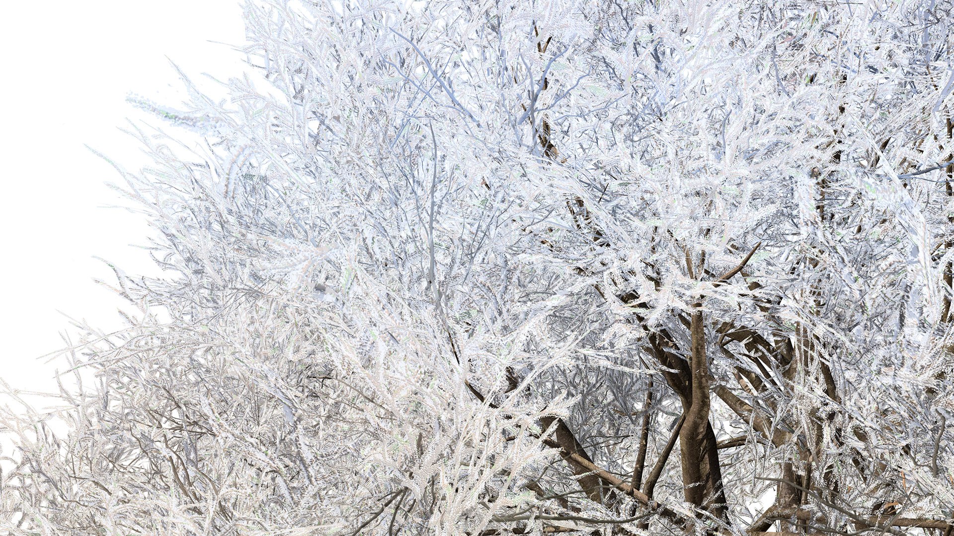 3D Snow-covered Tree 3D Model With Free Tutorial Model - TurboSquid 2320069