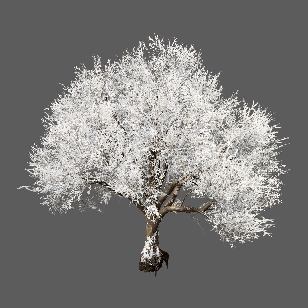 3D Snow-covered Tree 3D Model With Free Tutorial Model - TurboSquid 2320069