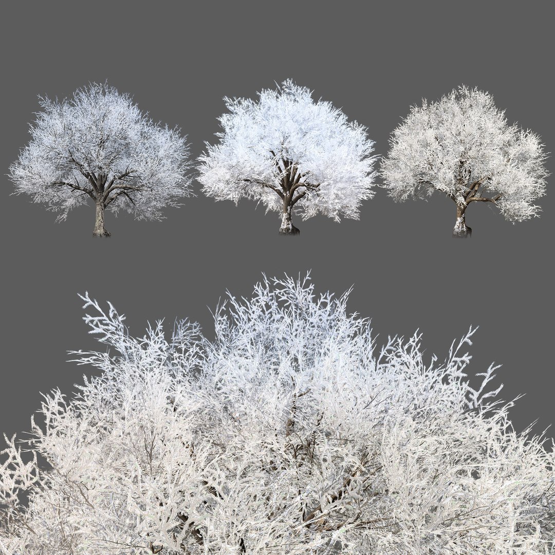 3D Snow-covered Tree 3D Model With Free Tutorial Model - TurboSquid 2320069