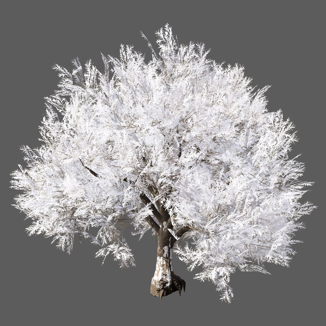 3D Snow-covered Tree 3D Model With Free Tutorial Model - TurboSquid 2320069