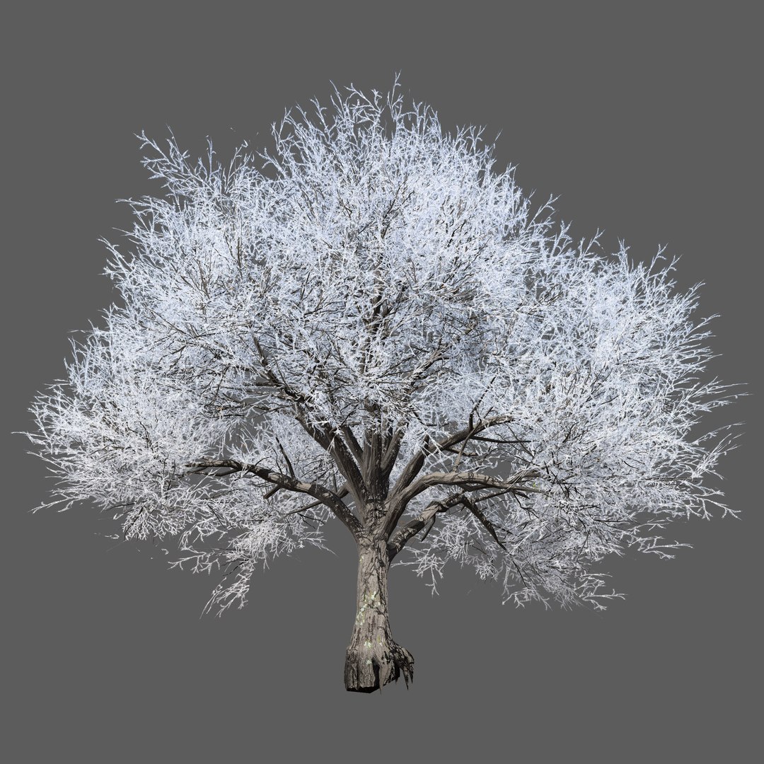 3D Snow-covered Tree 3D Model With Free Tutorial Model - TurboSquid 2320069