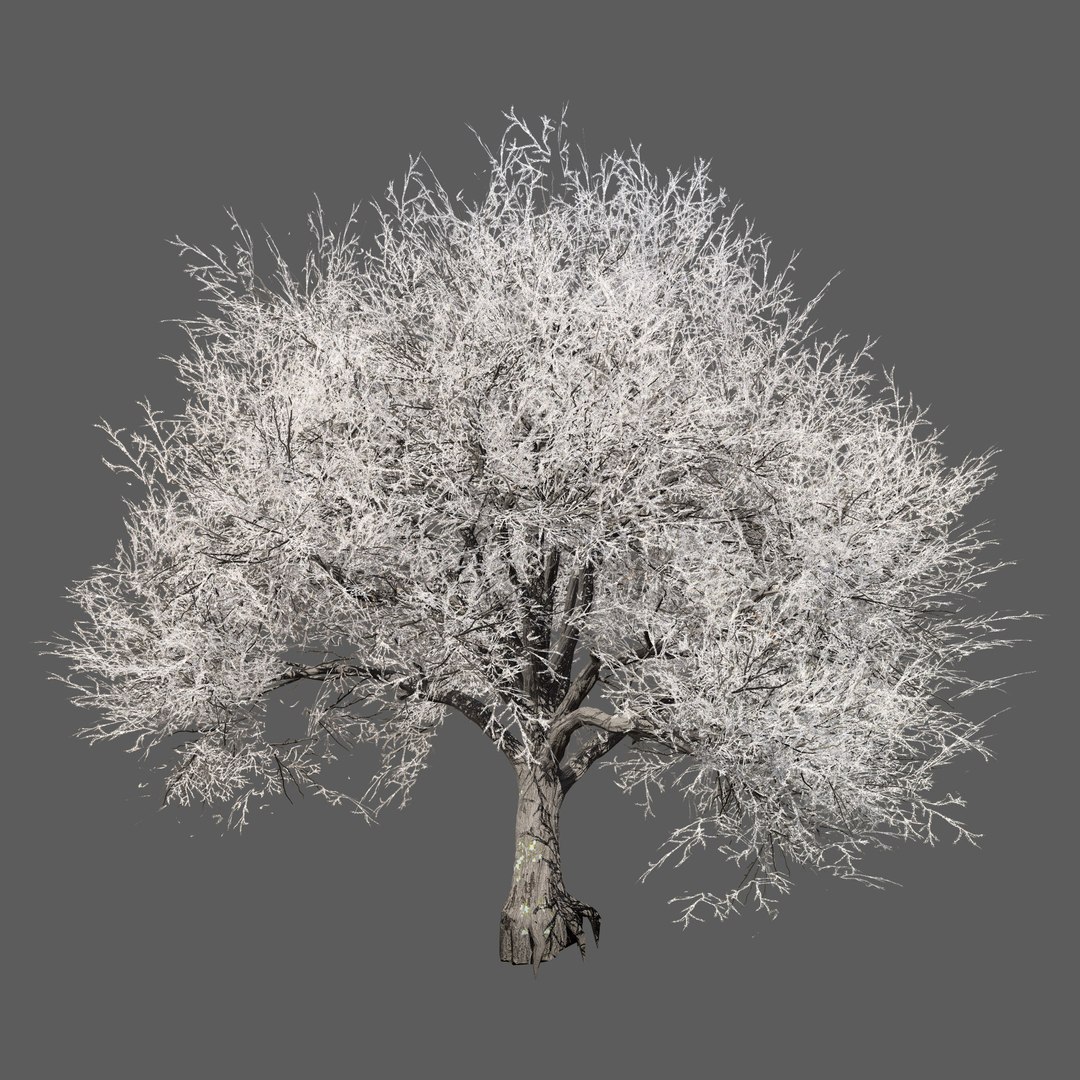 3D Snow-covered Tree 3D Model With Free Tutorial Model - TurboSquid 2320069