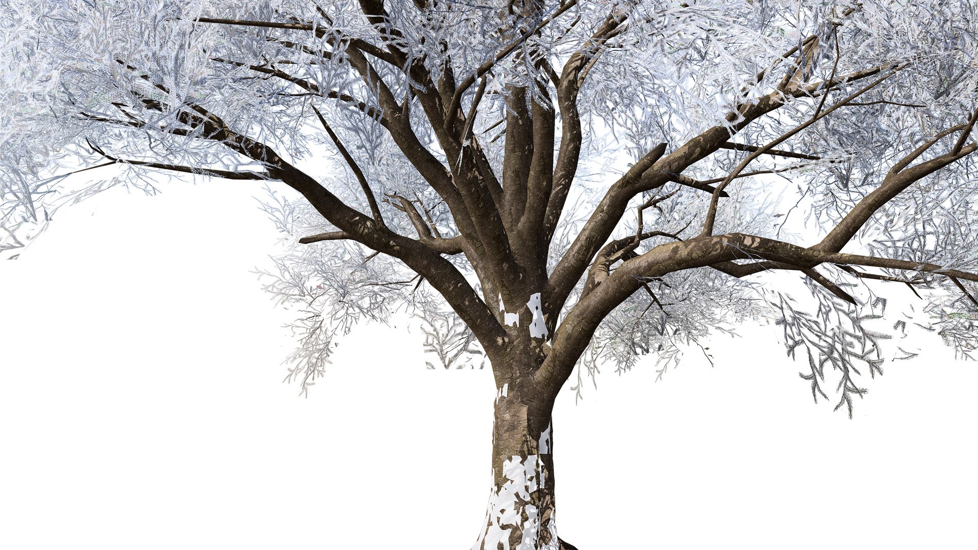3D Snow-covered Tree 3D Model With Free Tutorial Model - TurboSquid 2320069