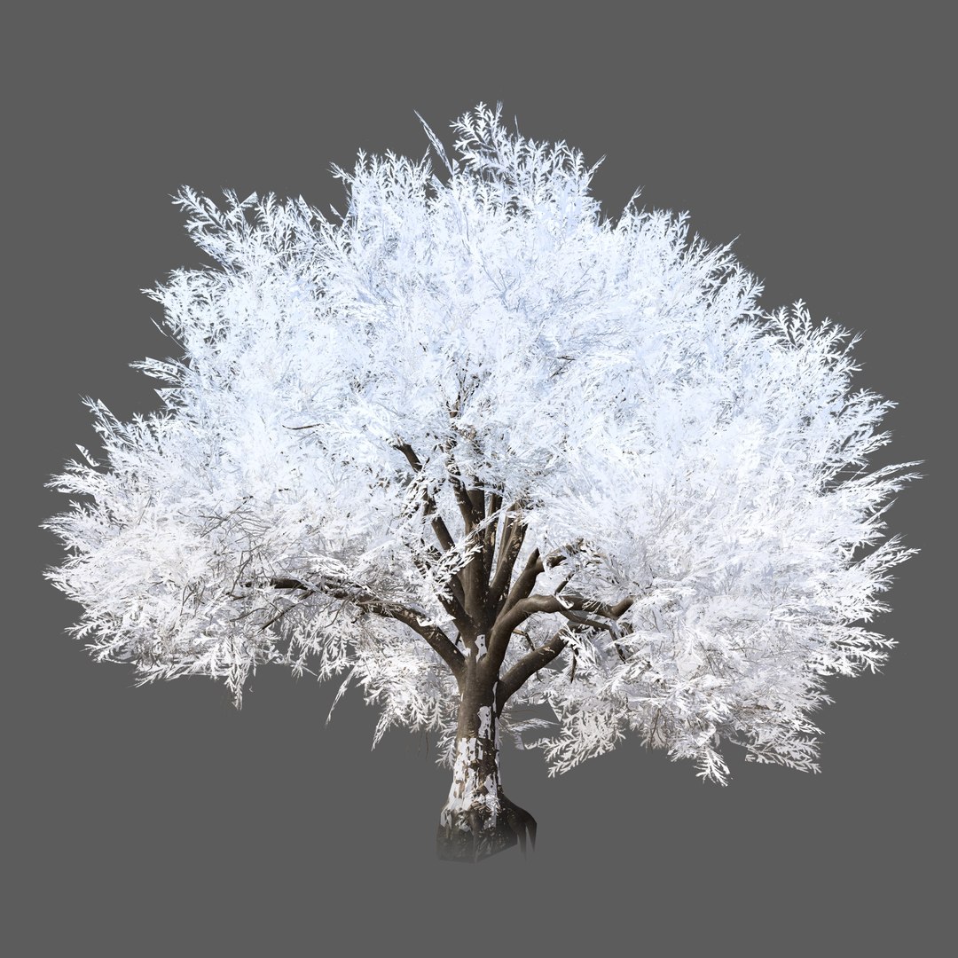 3D Snow-covered Tree 3D Model With Free Tutorial Model - TurboSquid 2320069