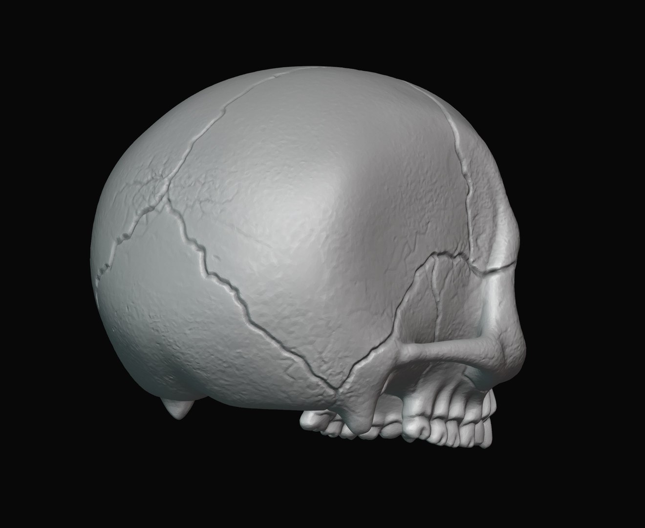 Skull Stylized 3D Print 3D Model - TurboSquid 1873034
