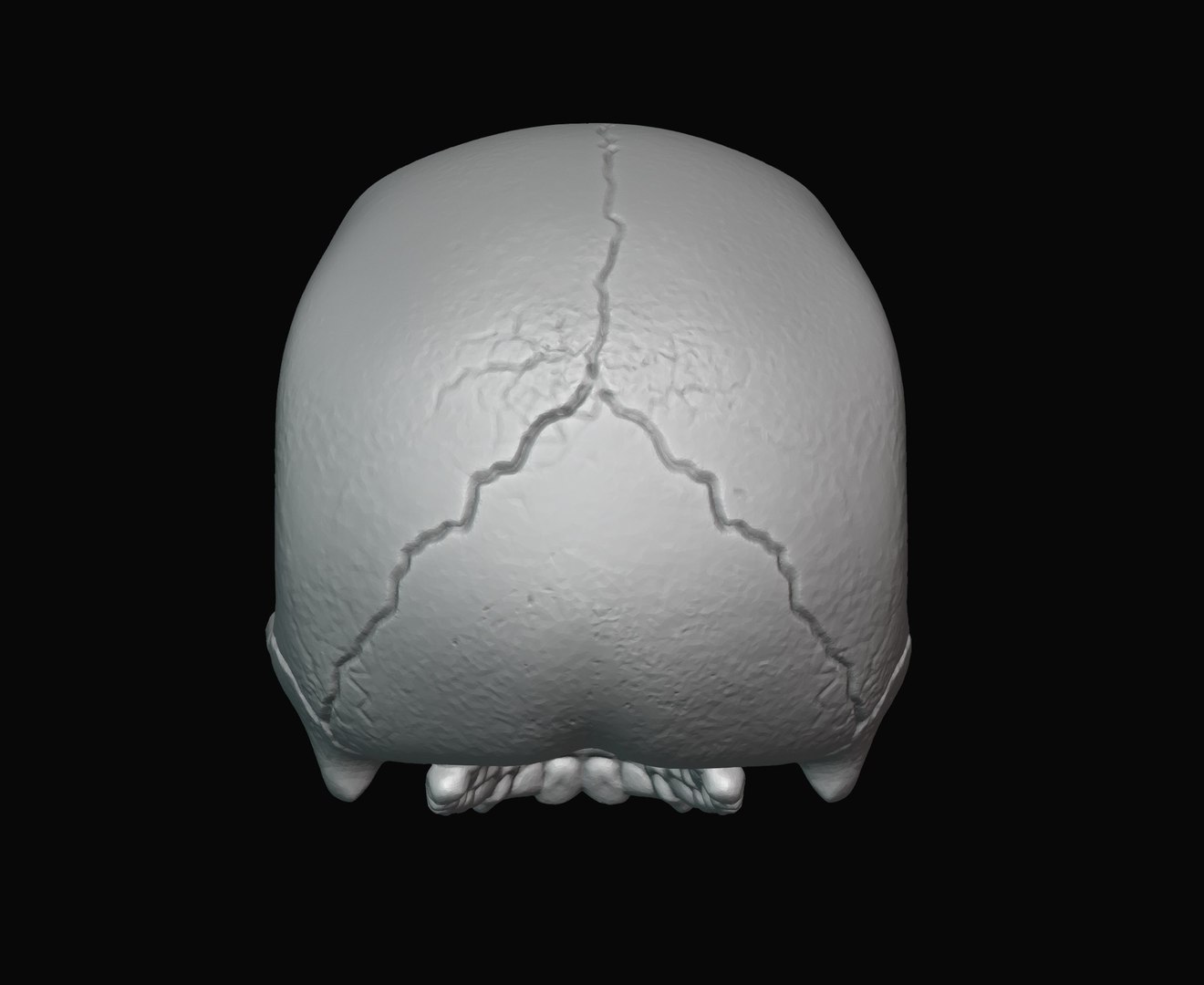 Skull Stylized 3D Print 3D Model - TurboSquid 1873034