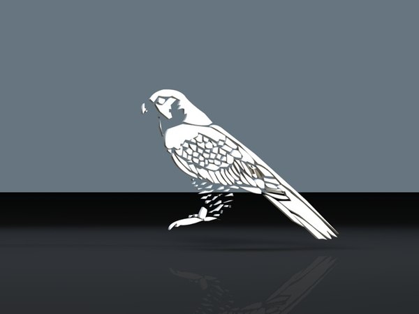3D Parakeet Models | TurboSquid