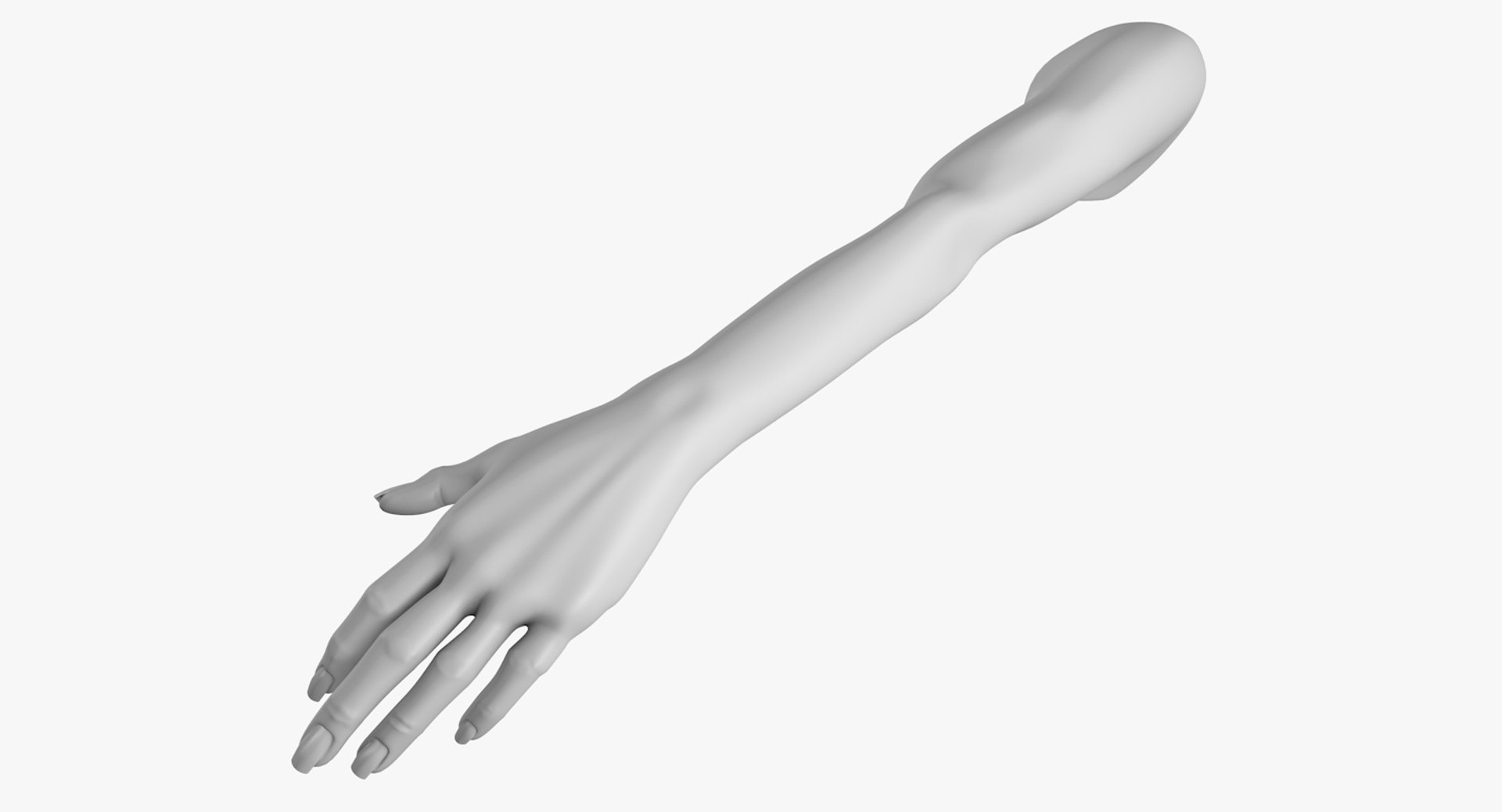 Hand Arm Woman 3D Model - TurboSquid 1246771
